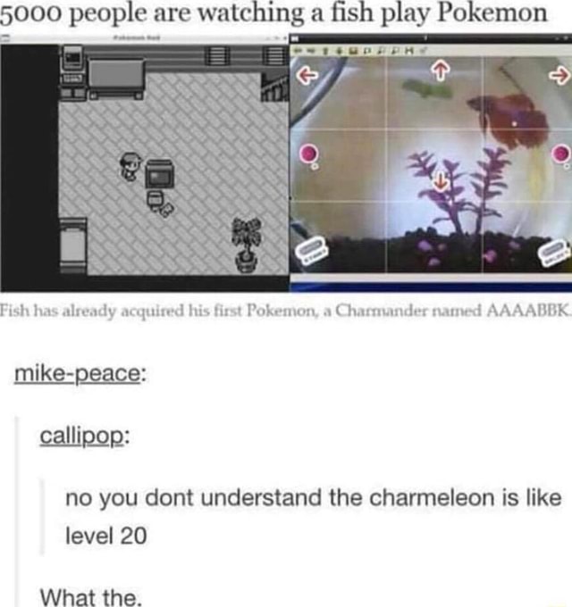 5000 people are watching a fish play Pokemon Fish has already acquired ...