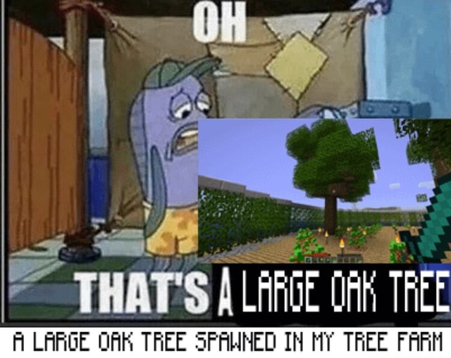 Tuars LARGE TREE LARGE OAK TREE SPAWNED IN MY TREE FARM - iFunny