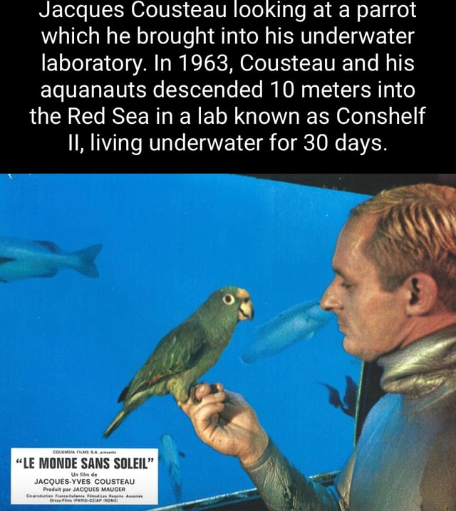Jacques Cousteau looking at a parrot which he brought into his ...