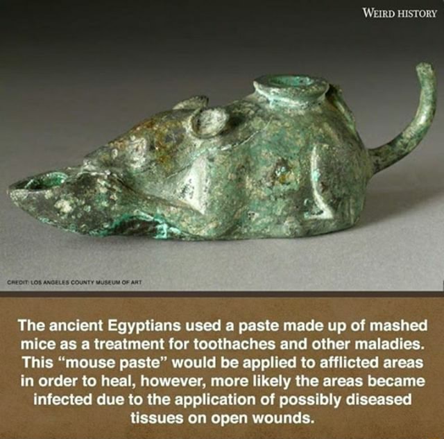 The ancient Egyptians used a paste made up of mashed mice as a ...
