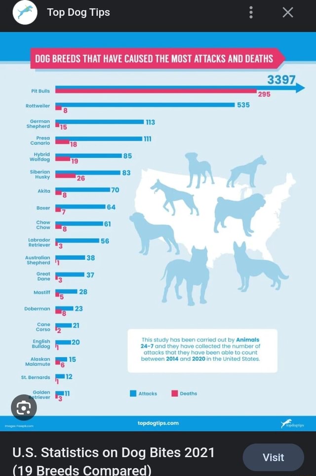 Top Dog Tips x DOG BREEDS THAT HAVE CAUSED THE MOST ATTACKS AND DEATHS ...