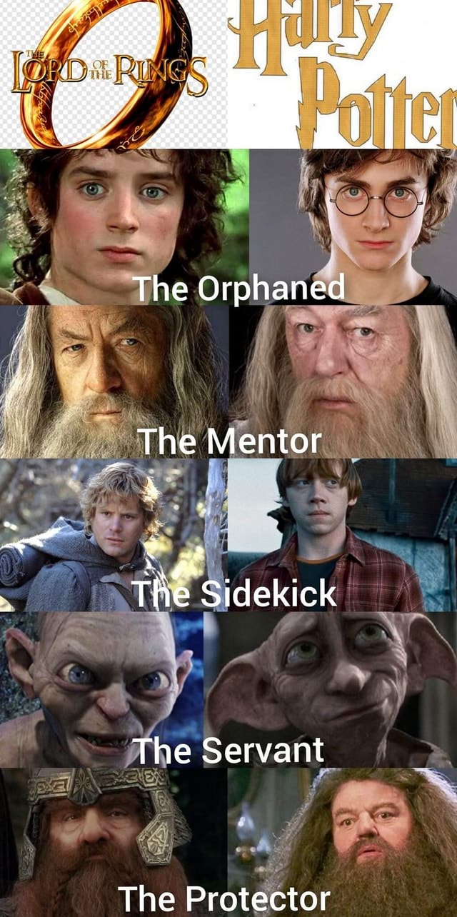 The Orphaned The Mentor The Sidekick The Servant we The Protector - iFunny