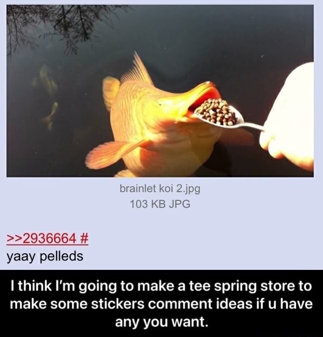 >>2936664 yaay pelleds brainlet koi 2.jpg 103 KB JPG think I'm going to ...
