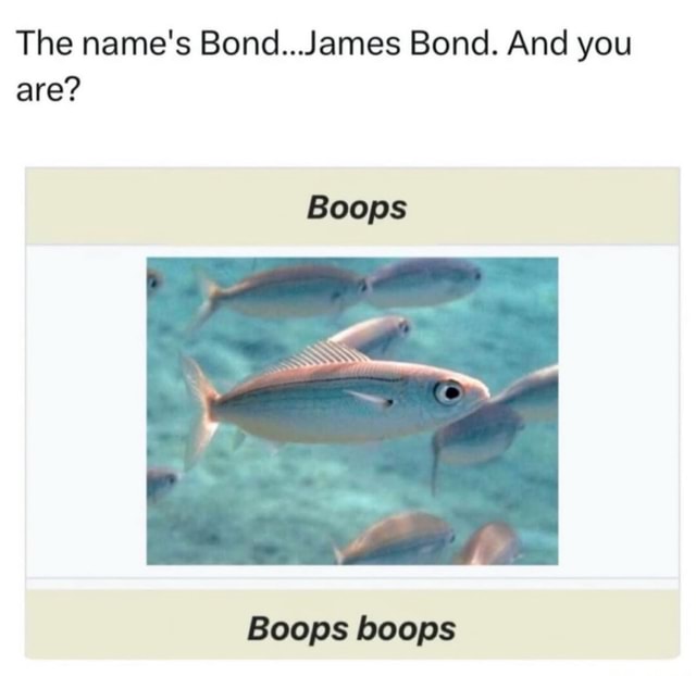 The name's Bond...James Bond. And you are? BOODS Boops boops - iFunny
