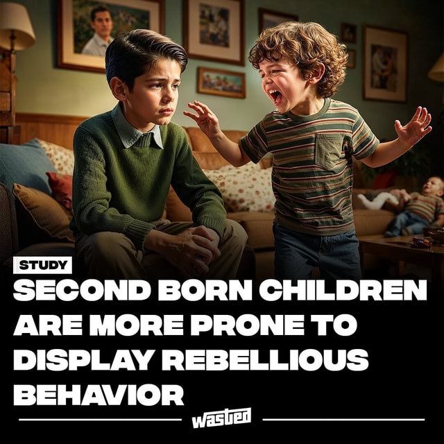 MIT economist Joseph Doyle's study exposes a tendency for increased ...