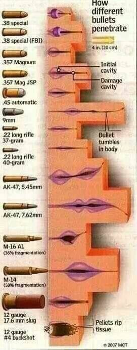Different bullets penetrate 38 special (FBI). Initiat cavity Damage ...