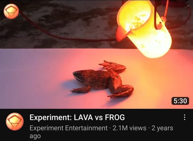 Experiment: LAVA vs FROG Experiment Entertainment 2.1M views 2 years ...