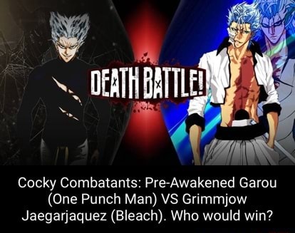 Cocky Combatants: Pre-Awakened Garou (One Punch Man) VS Grimmjow ...