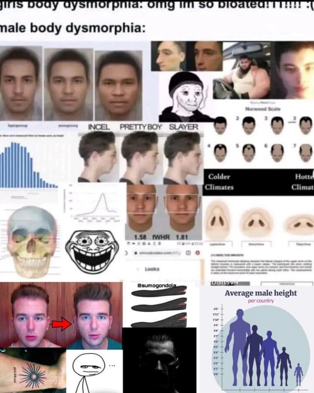 Nale body dysmorphia: Average male height - iFunny