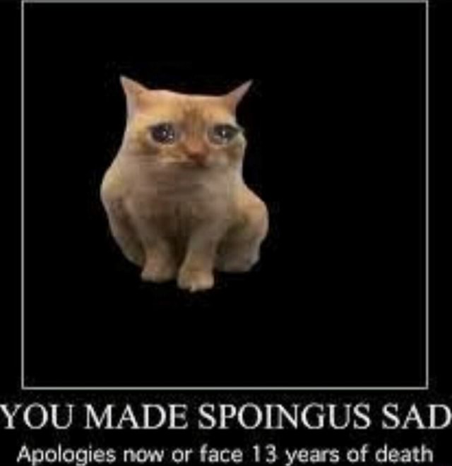 YOU MADE SPOINGUS SAD Apologies now or face 13 years of death - iFunny