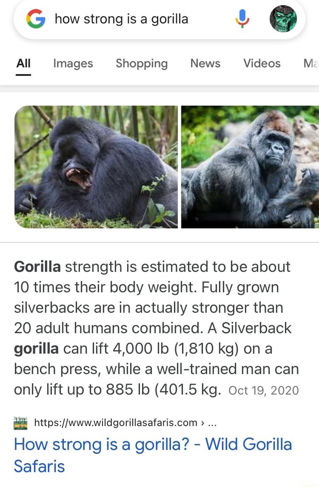 G how strong is a gorilla All Images Shopping News Videos Me Gorilla ...