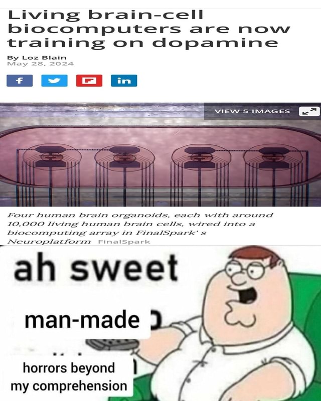 Living brain-cell biocomputers are now training on dopamine By Loz ...