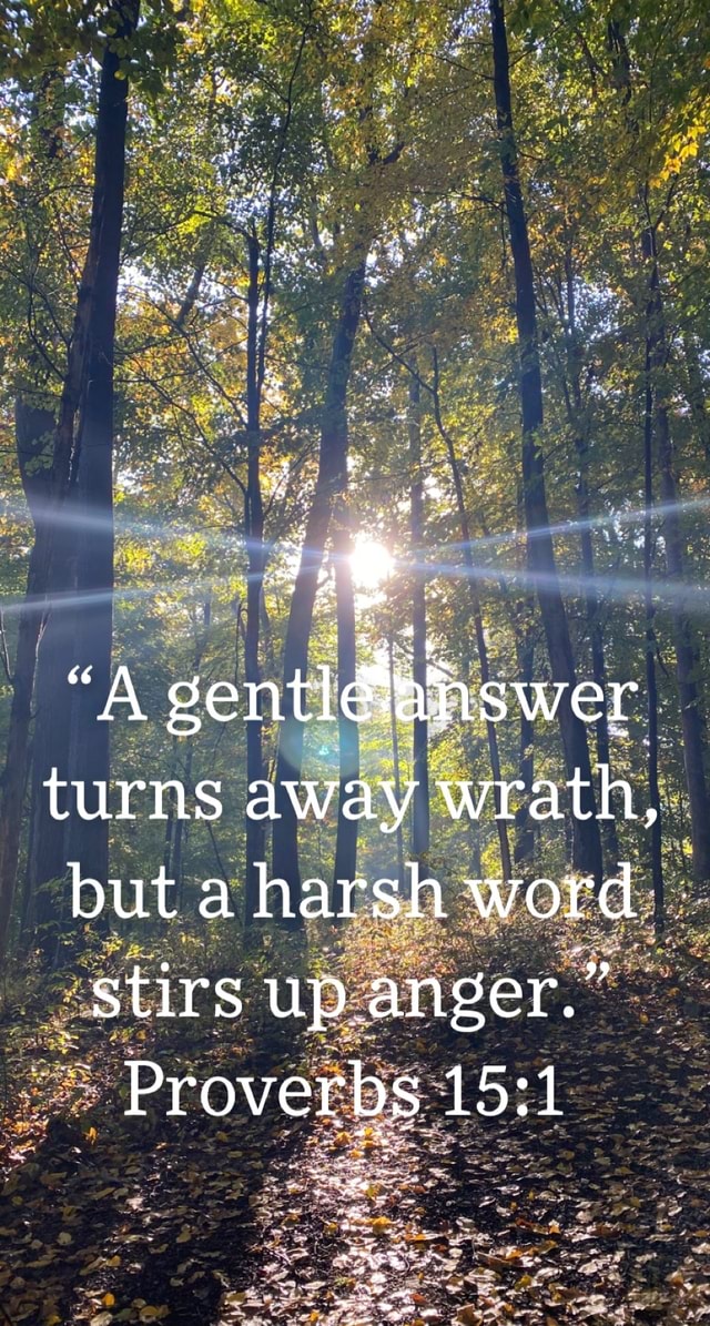 Pl turns away wrath, but a harsh word I stirs up anger." Proverbs - iFunny