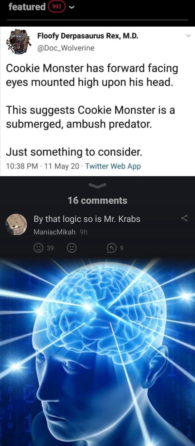 Featured 992 Floofy Derpasaurus Rex, M.D. Cookie Monster has forward facing eyes mounted high ...