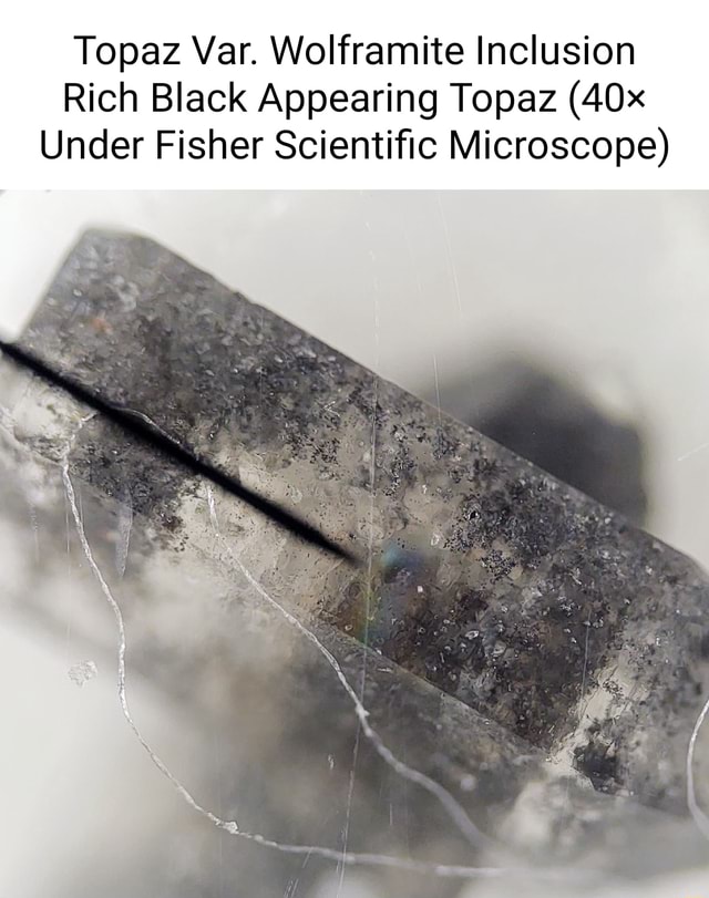 Topaz Var. Wolframite Inclusion Rich Black Appearing Topaz Under Fisher ...