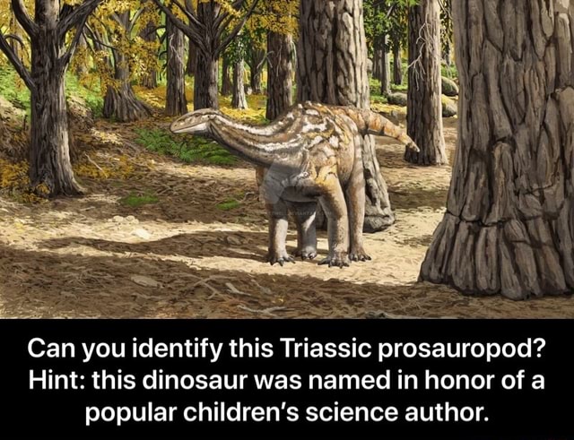 Can you identify this Triassic prosauropod? Hint: this dinosaur was ...