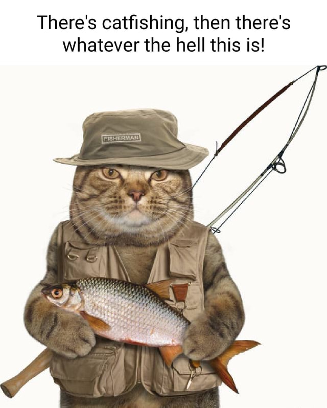 There's catfishing, then there's whatever the hell this is! - iFunny