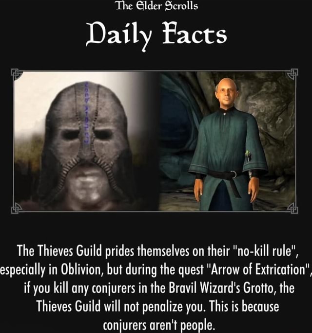 The Elder Scrolls Daily Facts The Thieves Guild prides themselves on their "no-kill rule ...