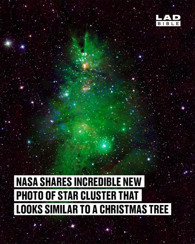 NASA has released a new image of a star cluster in the Milky Way and it ...