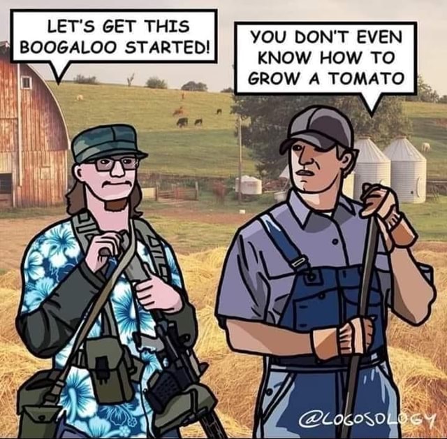 LET'S GET THIS BOOGALOO STARTED! YOU DON'T EVEN KNOW HOW TO GROW A ...