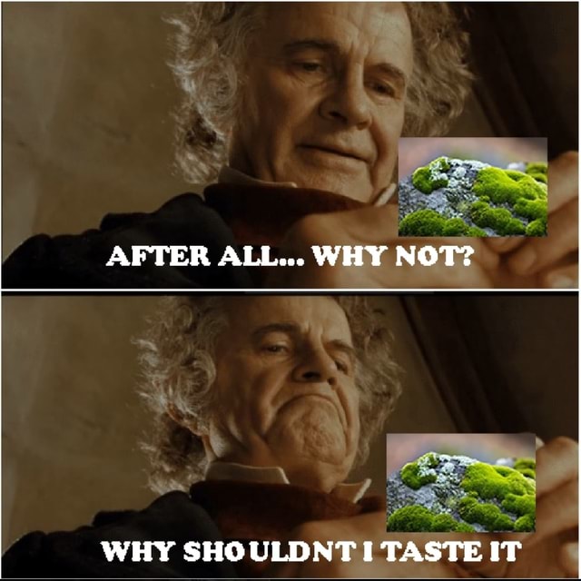 AFTER ALL... WHY NOT? WHY SHOULDNT I TASTE IT - iFunny