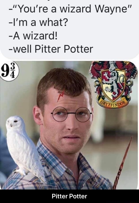 You’re a wizard Wayne” -I’m a what? -A wizard! -weII Pitter Potter ...
