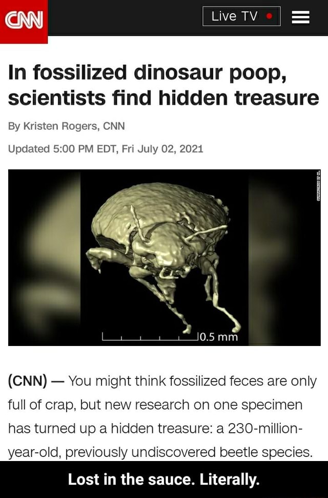 INN In fossilized dinosaur poop, scientists find hidden treasure By ...