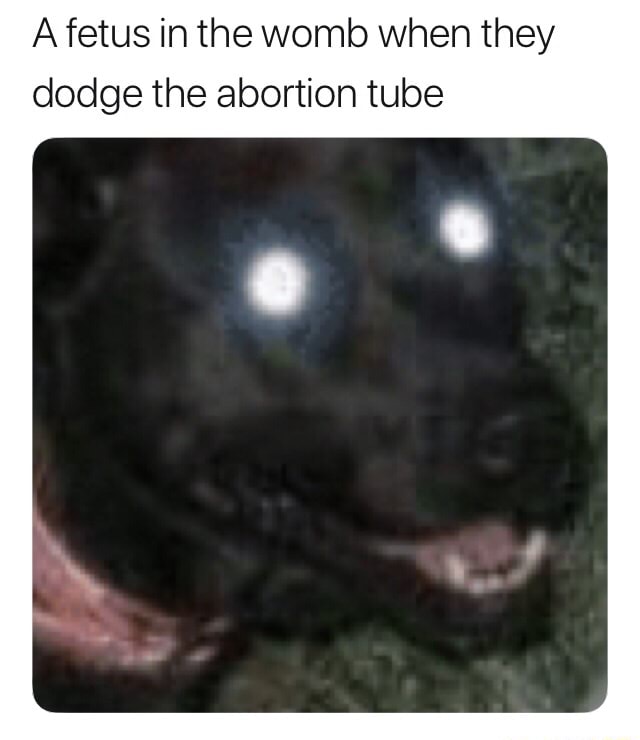 A fetus in the womb when they dodge the abortion tube - iFunny