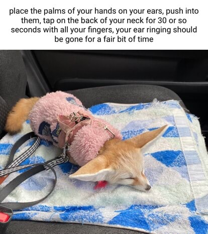 Place the palms of your hands on your ears, push into them, tap on the ...