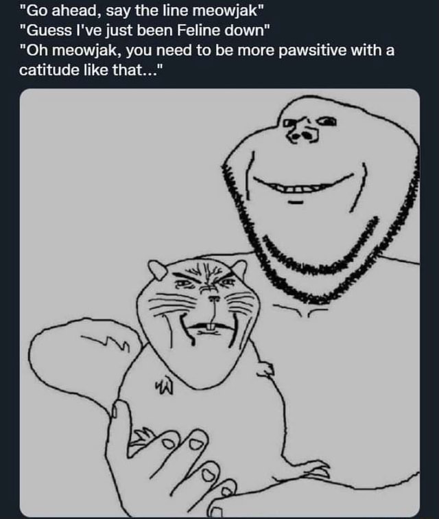 "Go ahead, say the line meowjak" "Guess I've just been Feline down" "Oh ...