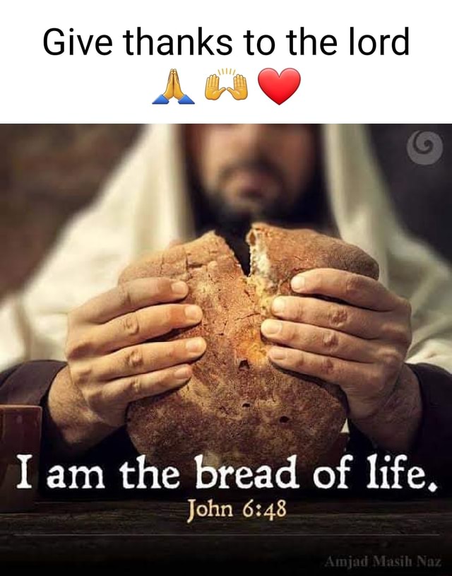 Give thanks to the lord I am the bread of life, John - iFunny