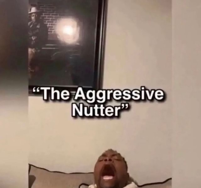 "The Aggressive Nutter" - iFunny