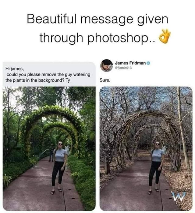 Beautiful message given through photoshop.. James Fridman 'Sure. Hi ...