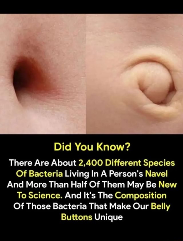 Did You Know? There Are About 2,400 Different Species Of Bacteria ...