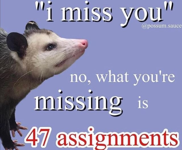 Al miss YOu possum.sauce no, what you're MISSINg is assignments - iFunny