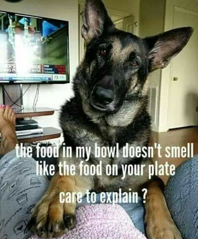 The Hhe foo ny ou dest t smell ike the food on your plate care exmla ...