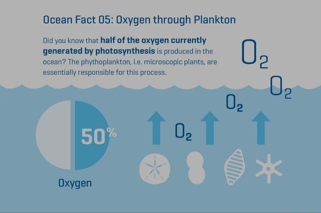 Ocean Fact 05: Oxygen through Plankton generated by photosynthesis is ...