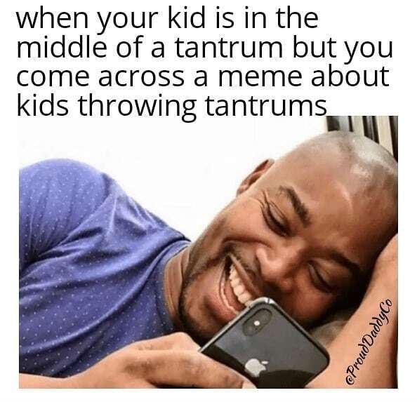 When your kid is in the middle of a tantrum but you come across a meme ...