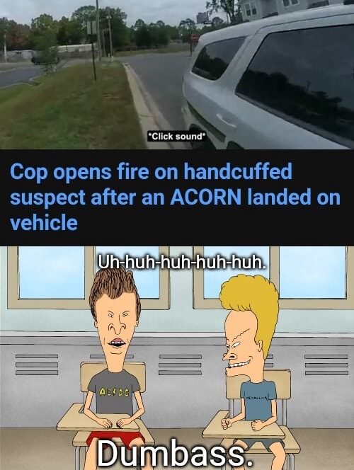 Cop opens fire on handcuffed suspect after an ACORN landed on vehicle ...