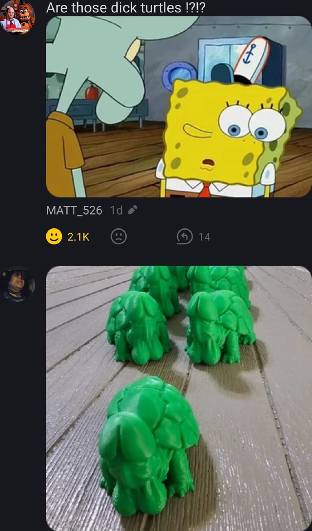 Are those dick turtles Pa I Cea. f@ MATT_526 Id @ 2.1 - iFunny