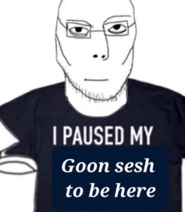 IS I PAUSED MY Goon sesh to be here - iFunny
