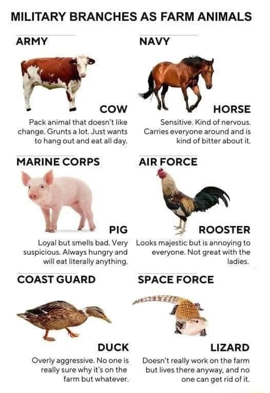 MILITARY BRANCHES AS FARM ANIMALS ARMY cow Pack animal that doesn't ...