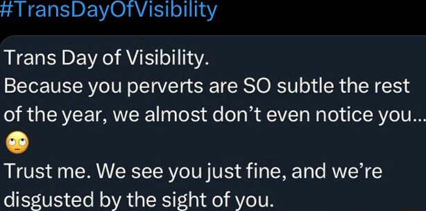 #TransDayOTVisibility Trans Day of Visibility. Because you perverts are ...