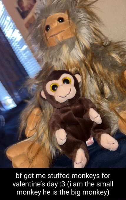 Bf got me stuffed monkeys for valentine's day :3 (i am the small monkey ...