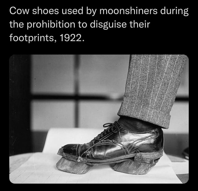 Cow shoes used by moonshiners during the prohibition to disguise their ...