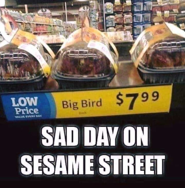 LOW Big Bird SAD DAY ON SESAME STREET - America’s best pics and videos