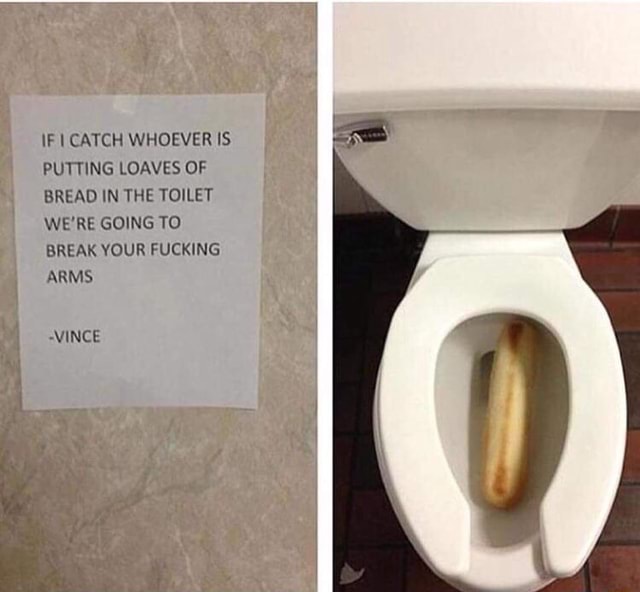 CATCH WHOEVER IS PUTTING LOAVES OF BREAD IN THE TOILET WE'RE GOING TO ...