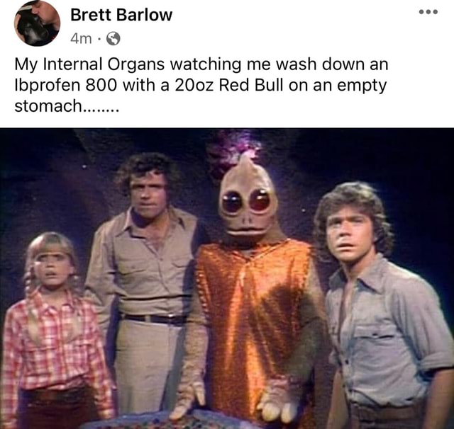 Brett Barlow My Internal Organs watching me wash down an Ibprofen 800 ...