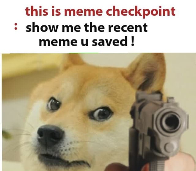 This is meme checkpoint show me the recent meme u saved ! - iFunny