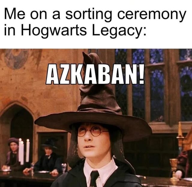 Me On Sorting Ceremony In Hogwarts Legacy Azkaban Ifunny